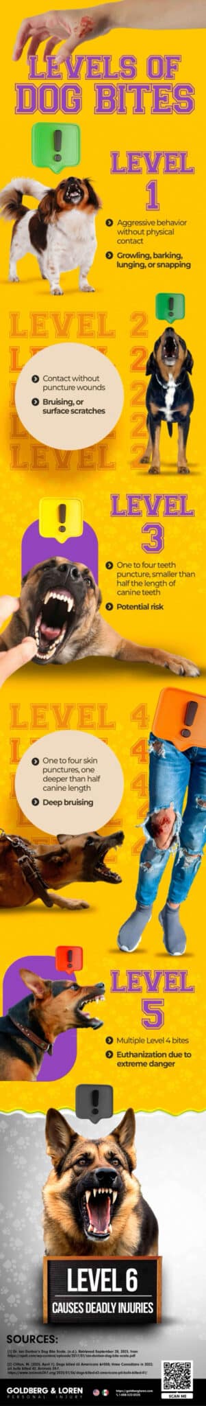 WHAT ARE THE LEVELS OF DOG BITES (1-6) | Goldberg & Loren